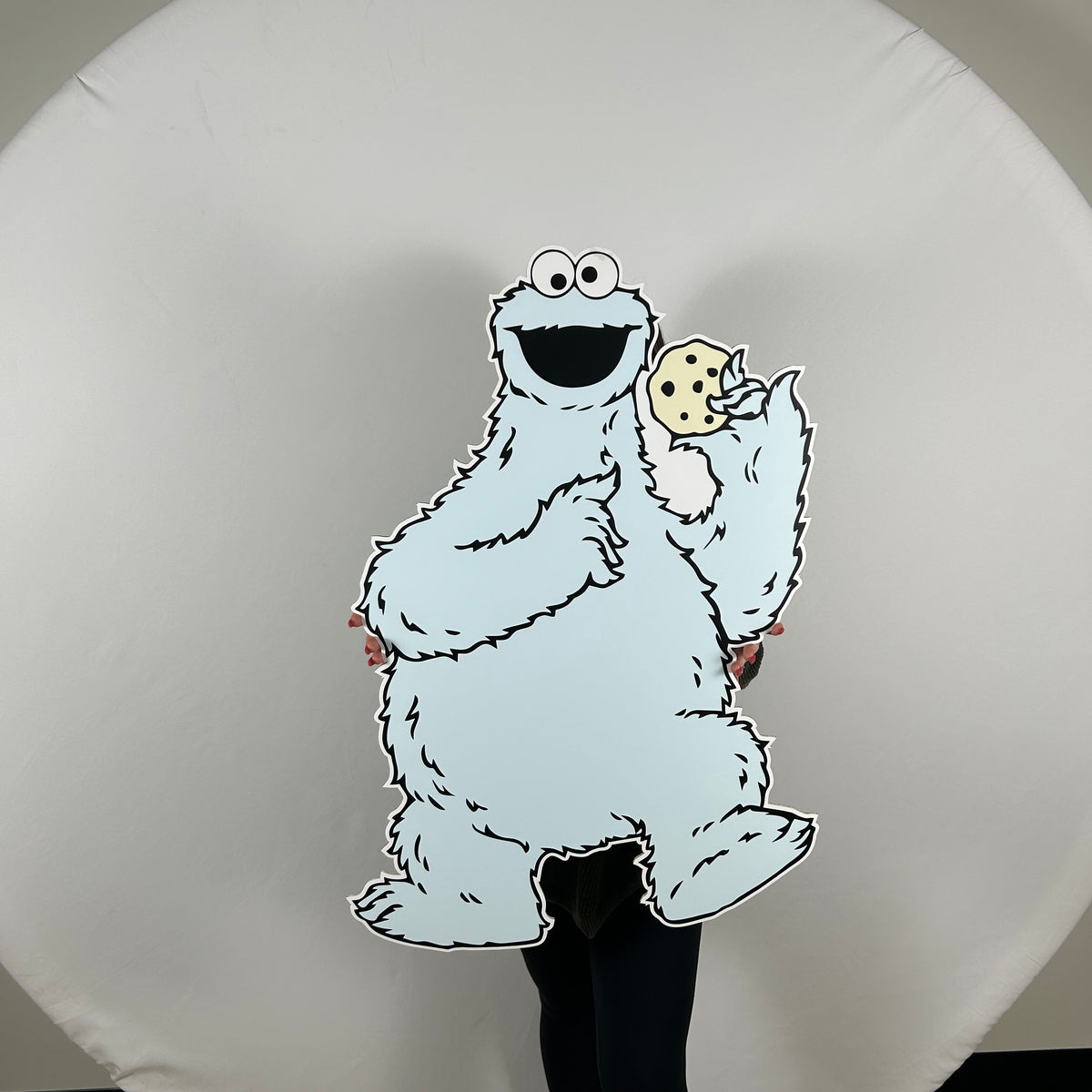 Cookie Monster Party Prop - Sesame Street Theme Character Cutout - Coo ...