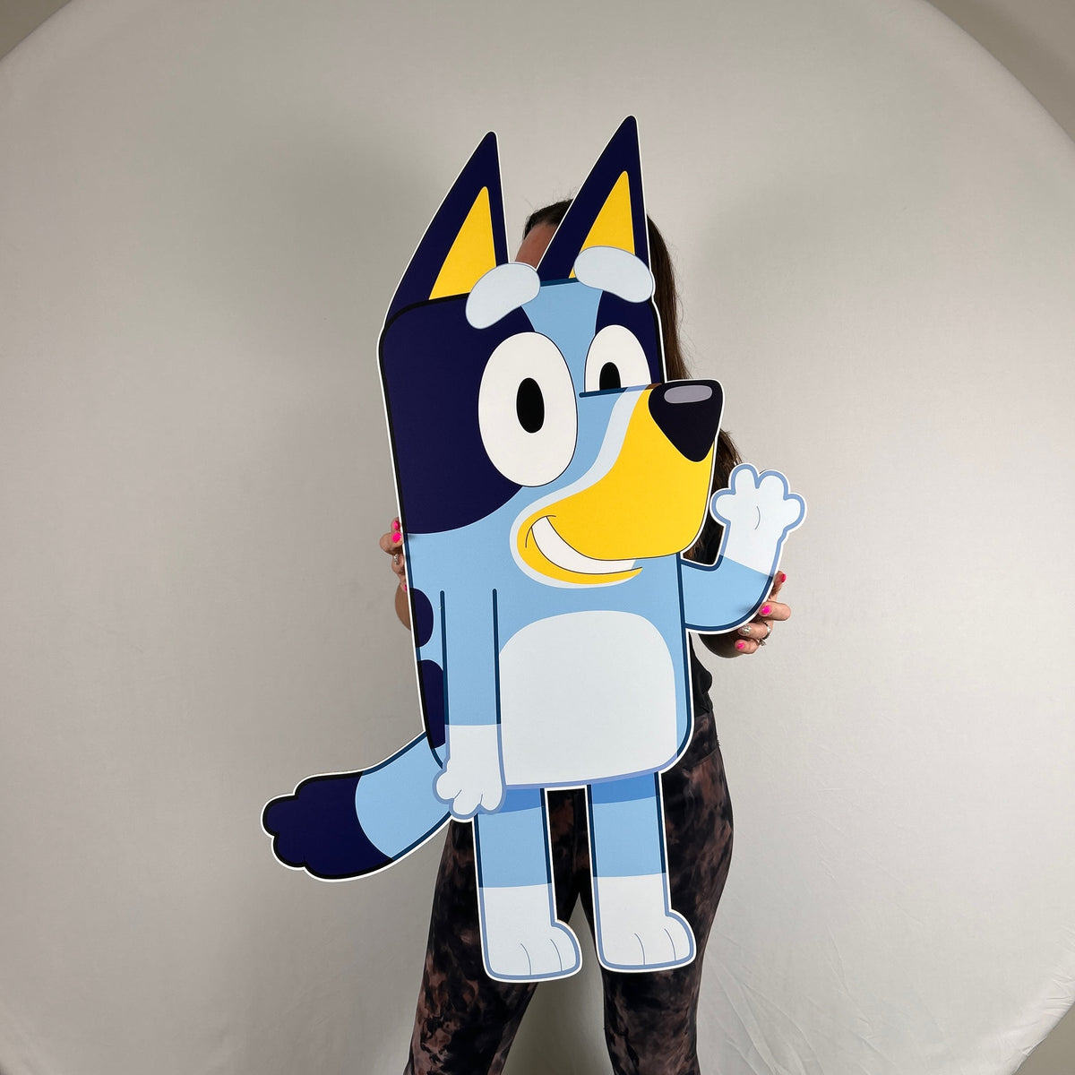 Foam Board Bluey Heeler Party Prop - Bluey Character Cutout - Party St ...