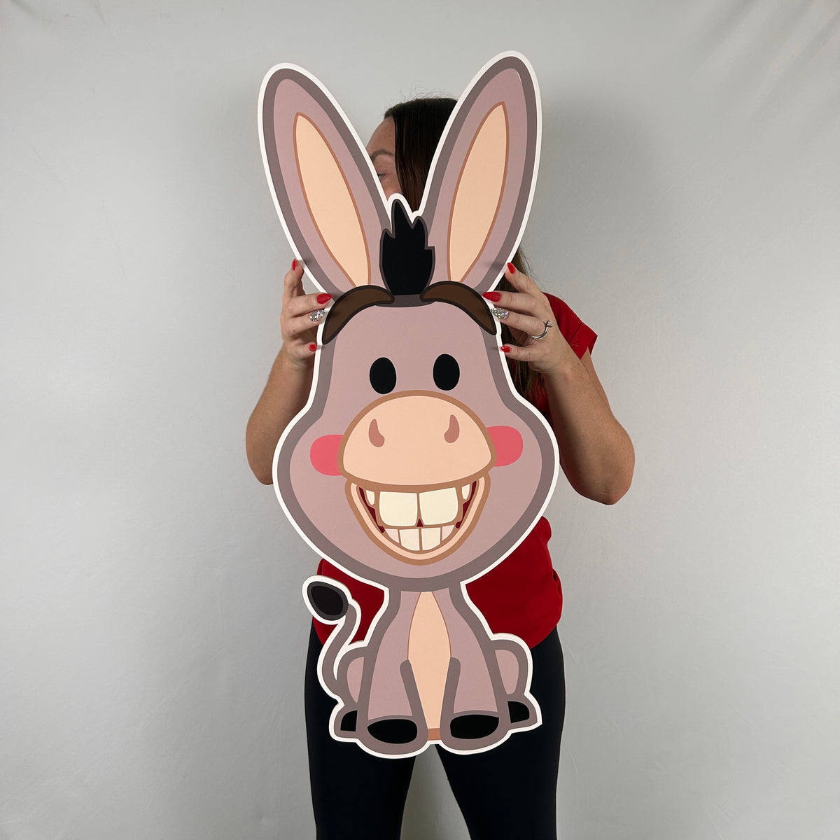 Foam Board Cartoon Donkey Party Prop - Shrek Character Cutout - Party ...